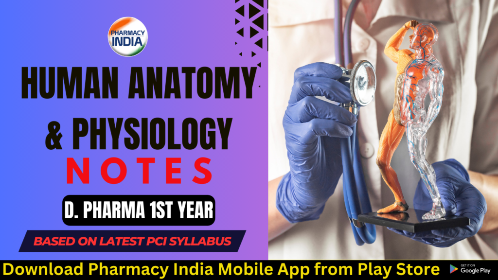 Human Anatomy & Physiology: D. Pharma 1st Year Notes for Comprehensive ...